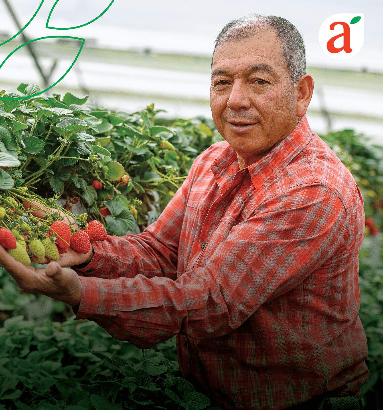 Mainor Fernández | Auto Mercado